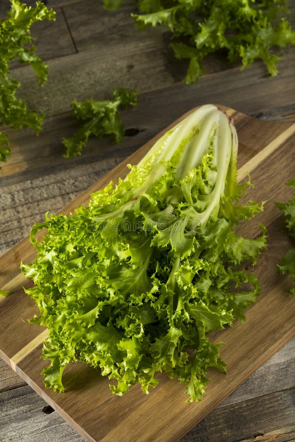 Raw Green Organic Endive Salad Stock Image - Image of italian ...