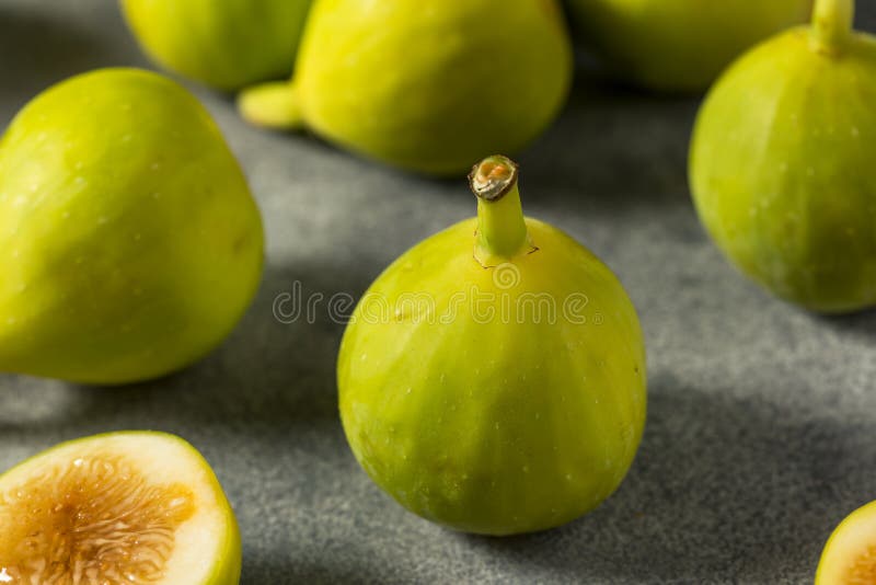 Raw Green Organic Figs stock photo. Image of green, harvest - 255374170