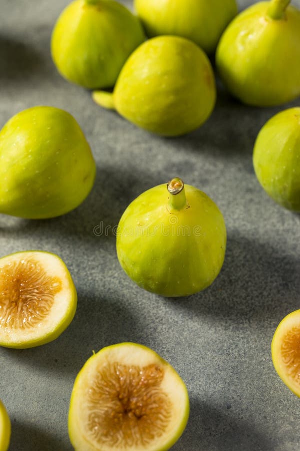 Raw Green Organic Figs stock photo. Image of vibrant - 255374174