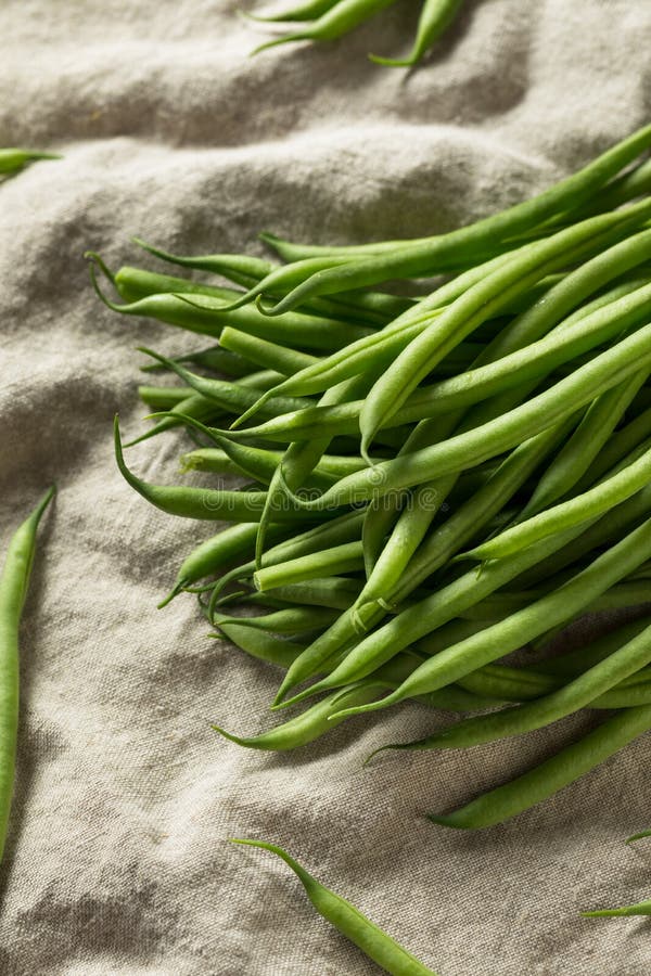 Raw Green Organic French String Beans Stock Image - Image of diet, food ...