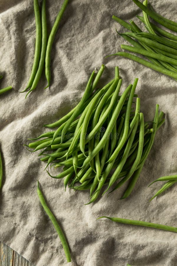 Raw Green Organic French String Beans Stock Image - Image of beans ...