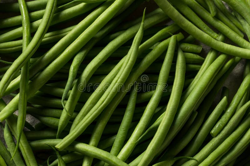 Raw Green Organic French String Beans Stock Photo - Image of uncooked ...