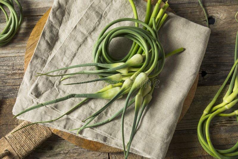 Raw Green Organic Garlic Scapes Stock Image - Image of scapes, health ...