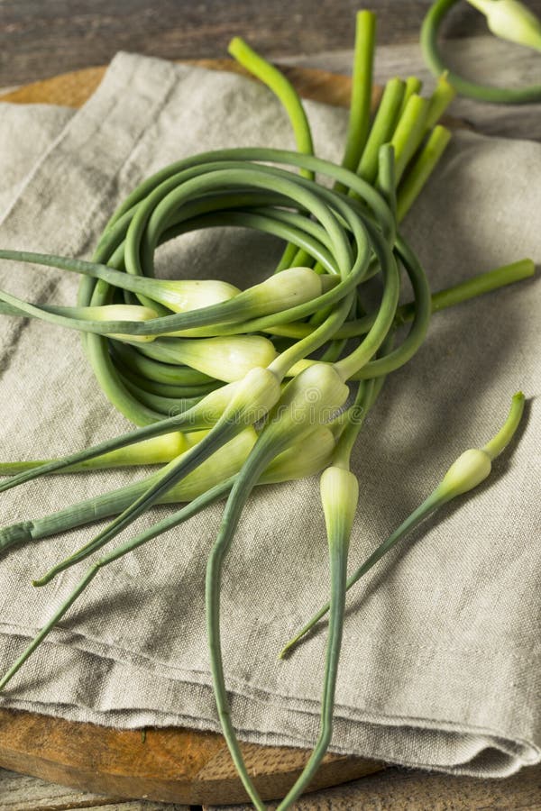 Raw Green Organic Garlic Scapes Stock Photo - Image of nutrition, juicy ...