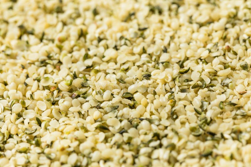 Raw Green Organic Hemp Seeds Stock Photo - Image of plant, herbal ...