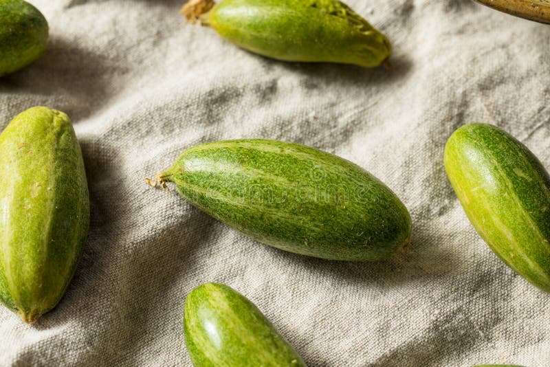 Raw Green Organic Indian Parval Stock Photo - Image of ingredient ...