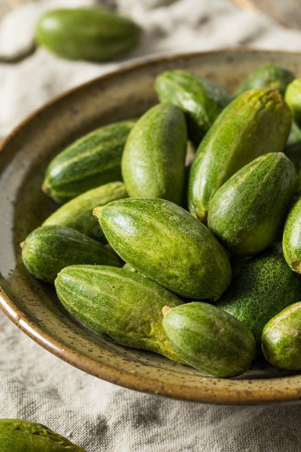 Raw Green Organic Indian Parval Stock Image - Image of potol, plant ...