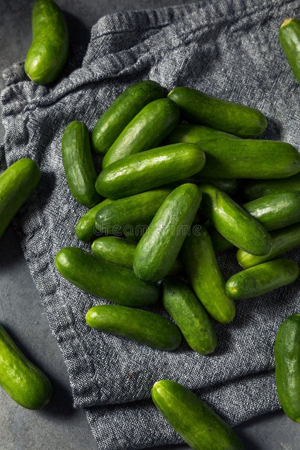 Raw Green Organic Mini Cucumbers Stock Image - Image of nutrition ...