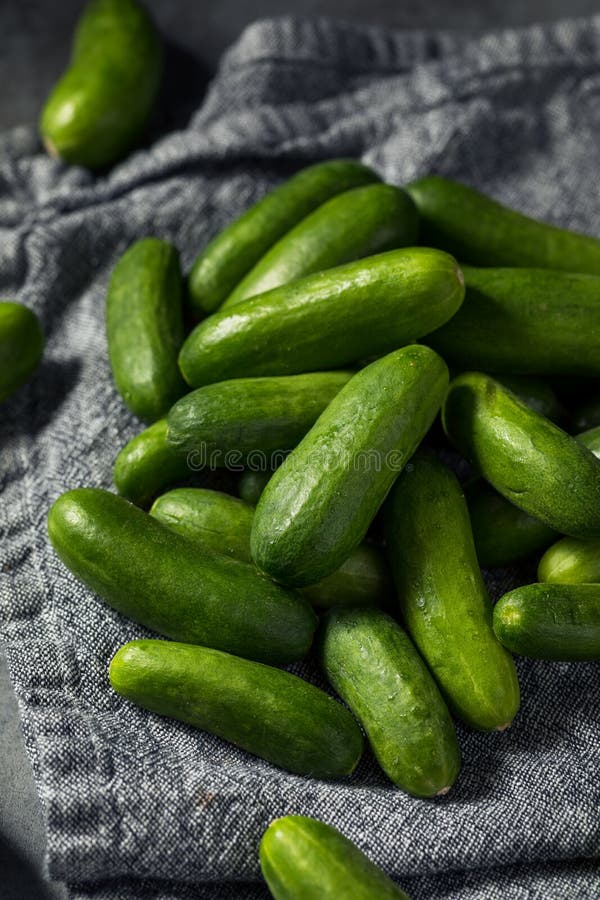 Raw Green Organic Mini Cucumbers Stock Photo - Image of ripe, nature ...