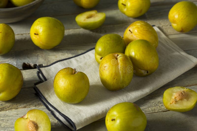 Sweetie fruit pluot stock image. Image of sweetie, plum - 16162179