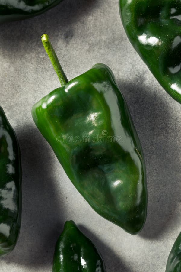 Raw Green Organic Poblano Peppers Stock Photo - Image of peppers ...