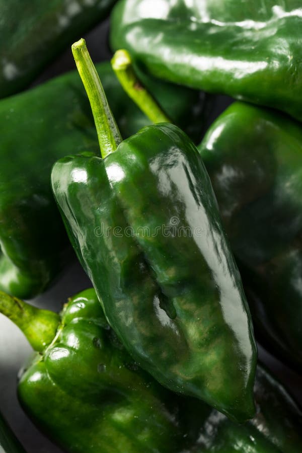 Raw Green Organic Poblano Peppers Stock Image - Image of plant, natural ...