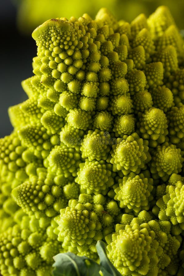 Raw Green Organic Romanesco Stock Image - Image of brassica, green ...