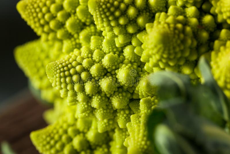 Raw Green Organic Romanesco Stock Photo - Image of flower, broccolo ...