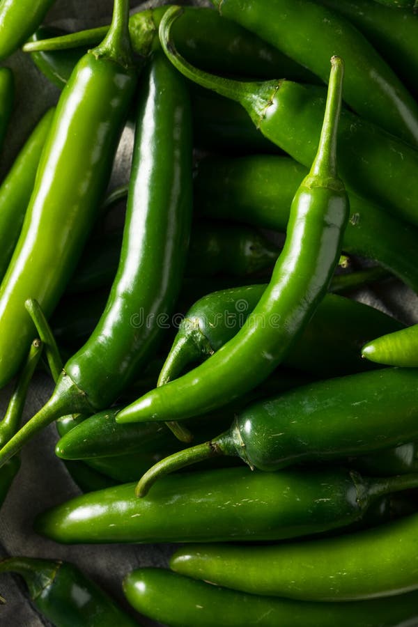 Raw Green Organic Serrano Peppers Stock Image - Image of nutrition ...