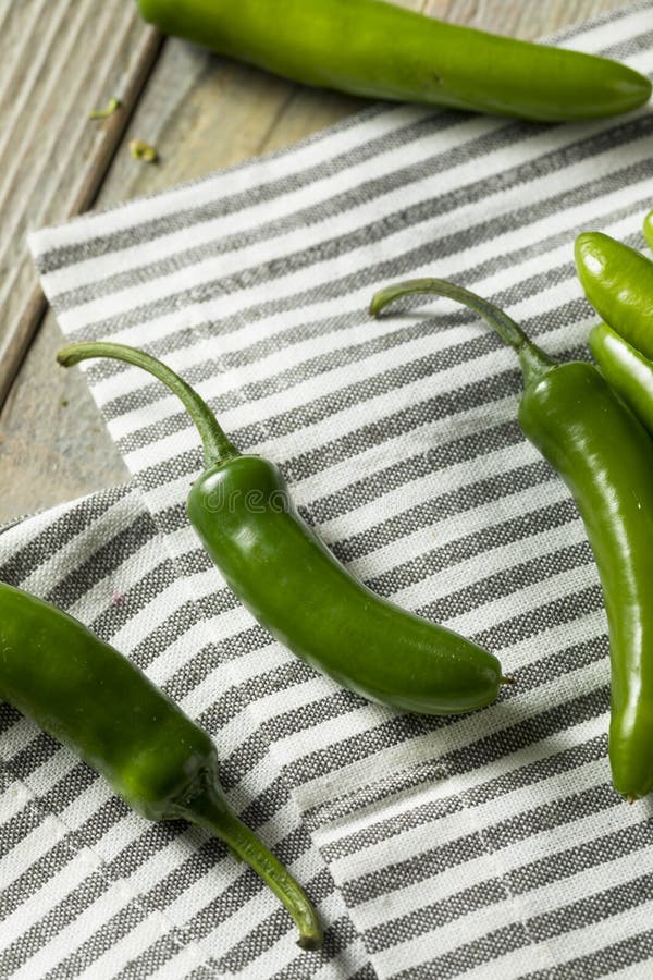 Raw Green Organic Serrano Peppers Stock Photo - Image of serrano ...