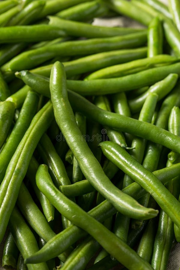 Raw Green Organic String Beans Stock Image - Image of vegetarian, bean ...