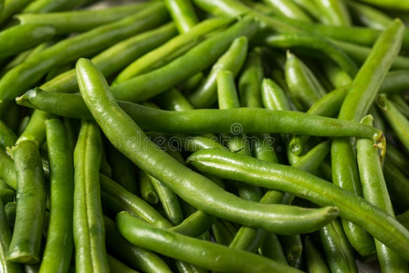 Raw Green Organic String Beans Stock Image - Image of ingredients ...