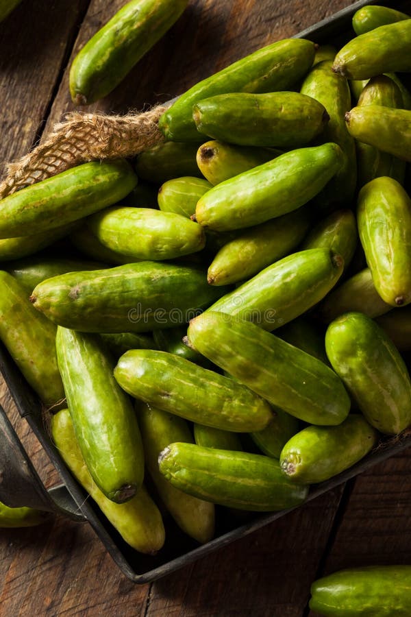 Raw Green Organic Tindora stock image. Image of nutritious - 72079825