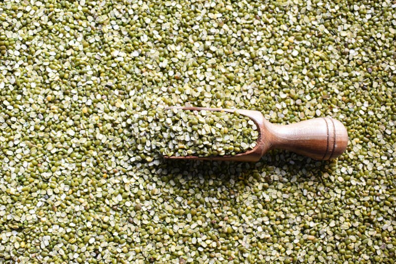 Raw green split Mung bean stock photo. Image of healthy - 206224998