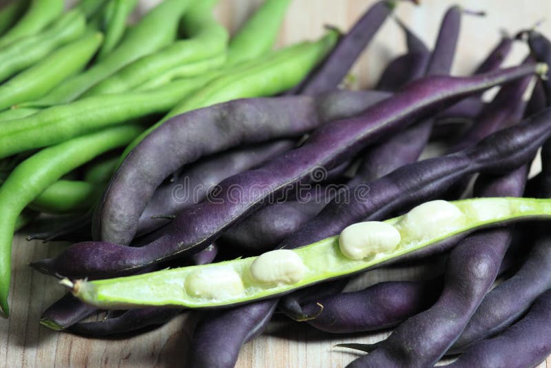 Raw green and violet beans stock photo. Image of delicious - 59023064