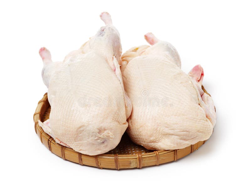 Raw Gressingham duck stock image. Image of protein, poultry - 119555767