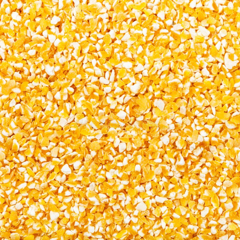 Ground Corn at Farm in Maramures Stock Image - Image of farm, food ...