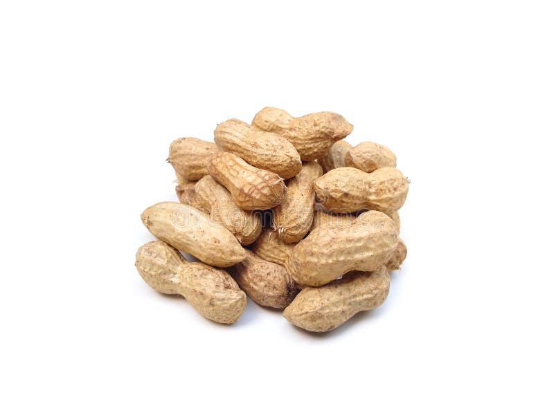 Raw Groundnut Pods Isolated on White Background, Selective Focus Stock ...