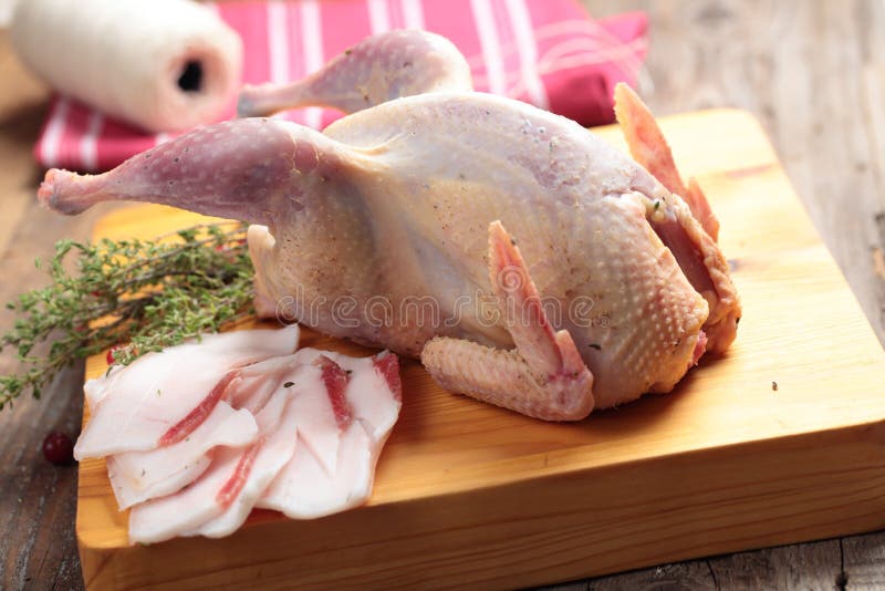 Meat of hazel grouse stock photo. Image of game, bird - 35864250