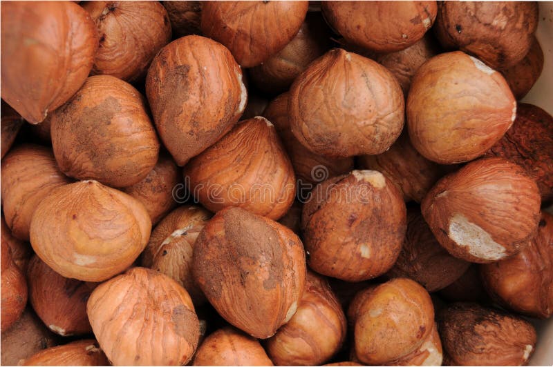 Kola nuts stock photo. Image of nuts, caffeine, edible - 33729162