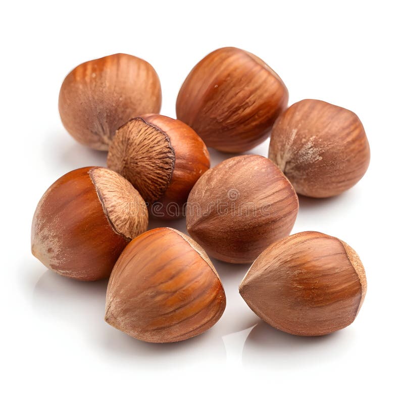Hazelnuts Isolated on White Background Stock Illustration ...