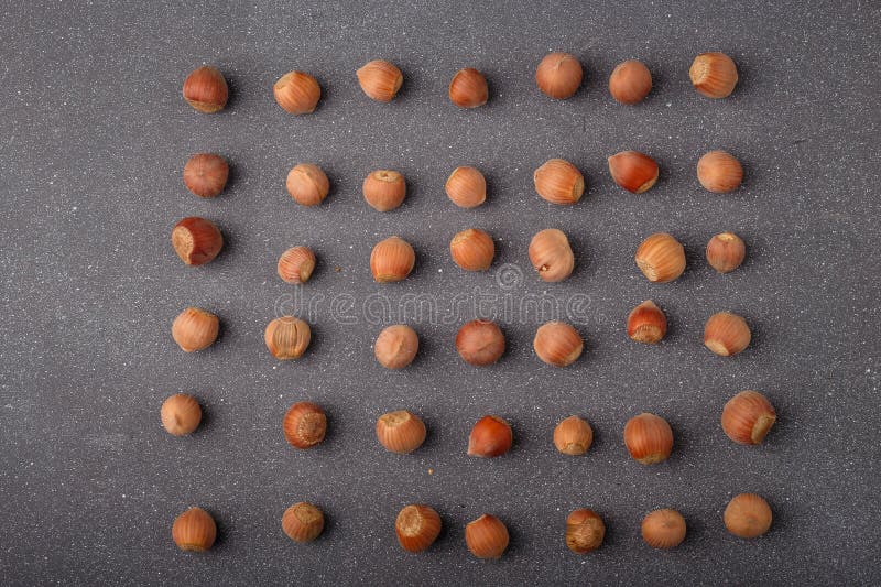 Raw Hazelnuts in Shells Lay Out in Square Shape on Grey Background ...