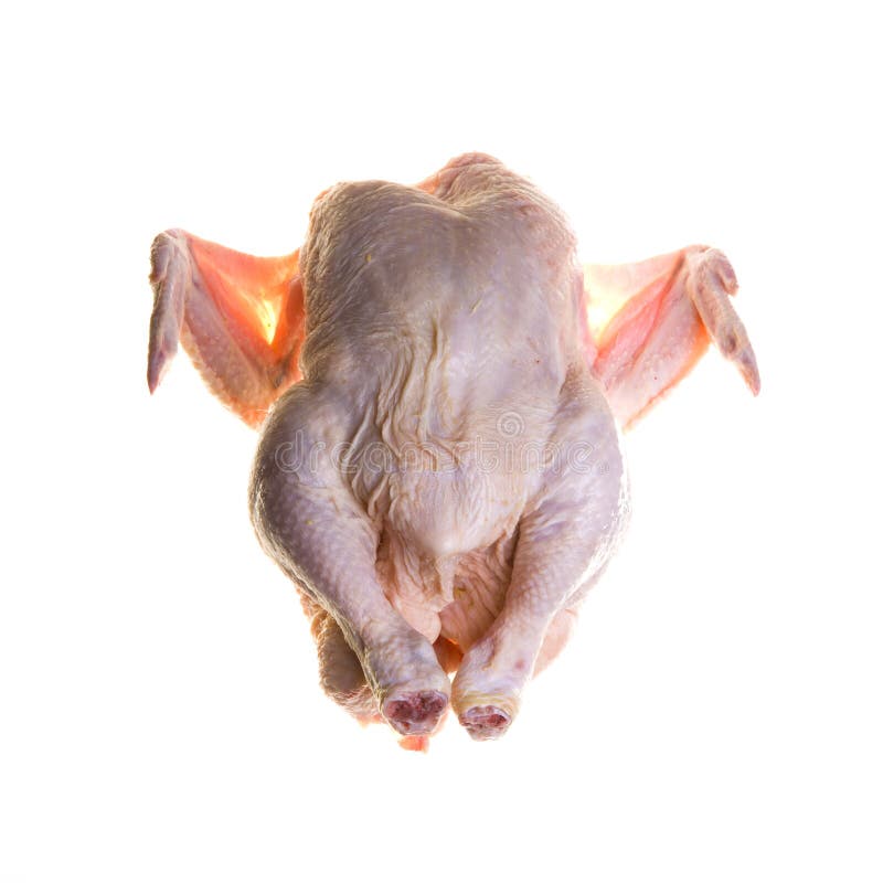 Headless chicken toy stock image. Image of yellow, funny - 2803711
