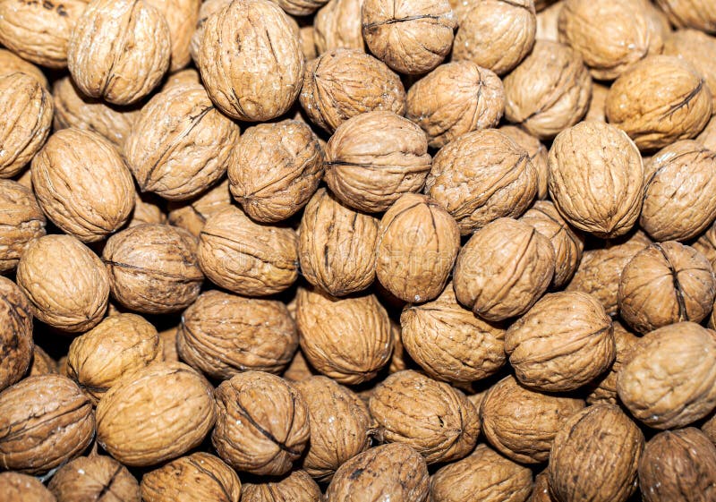 Raw Healthy Food Walnut Close Up Stock Image - Image of organic, open ...