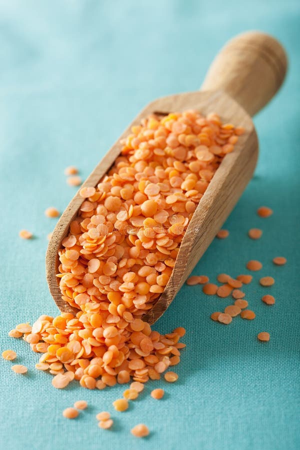 Raw Healthy Red Lentils in Bowl Stock Image - Image of food, green ...