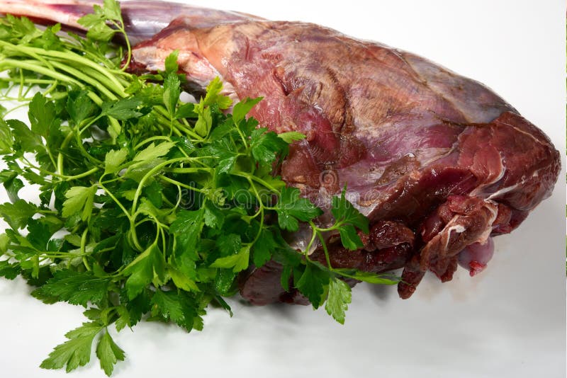 Raw Hind Quarter of Deer Leg Isolated on White Stock Illustration ...