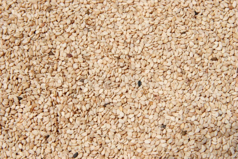 Sesame Seed stock photo. Image of object, food, healthy - 89160