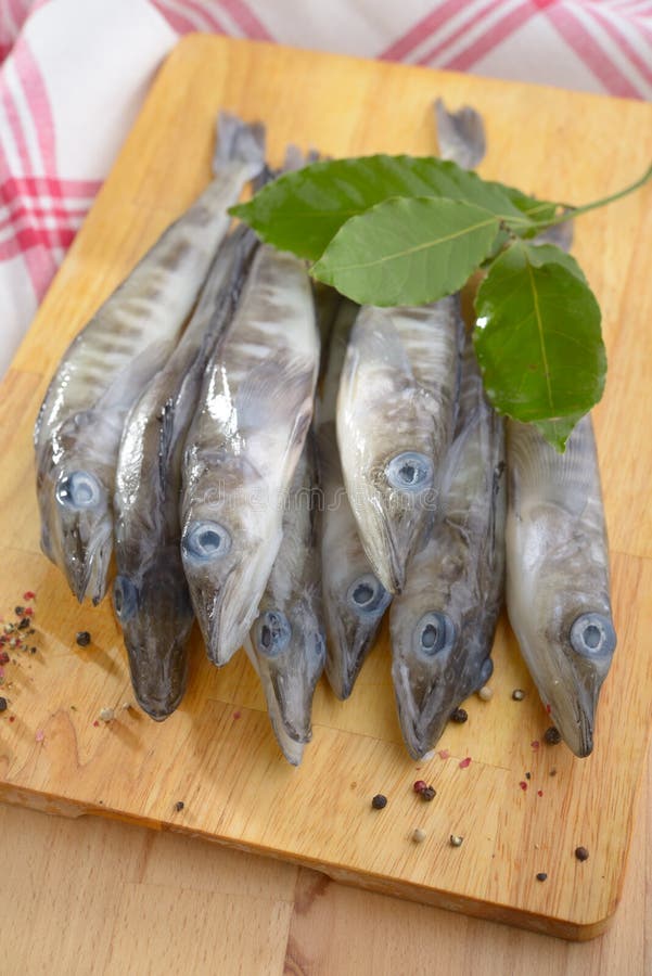 Raw ice fish stock photo. Image of peppercorns, seafood - 37273746