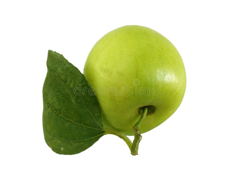 Raw Indian Jujube Fruit Isolated Stock Image - Image of vitamin, fresh ...