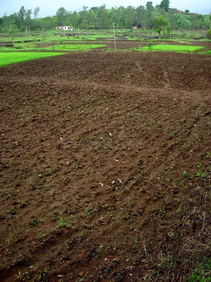 Indian Red Soil-V stock photo. Image of soil, monsoon - 3285860
