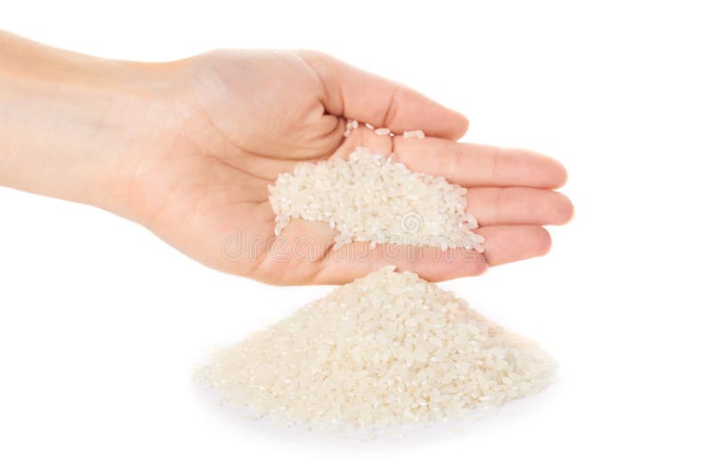 Raw Jasmine Rice in Hand Isolated on White Background Stock Image ...