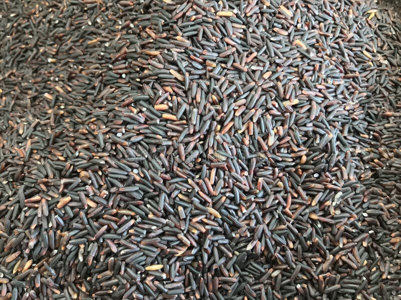 Uncooked black rice stock photo. Image of food, organic - 97685970