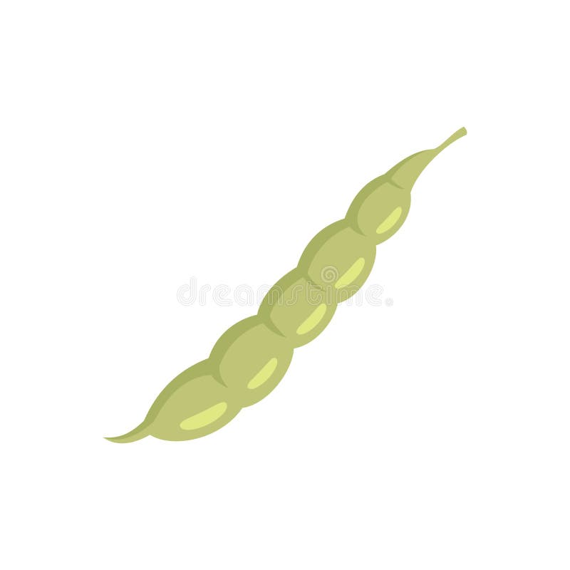 Raw Kidney Bean Icon Flat Isolated Vector Stock Illustration ...