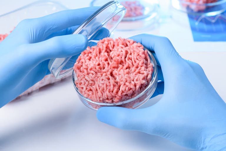 Raw Lab Meat Sample in Petri Dish Stock Image - Image of dish ...