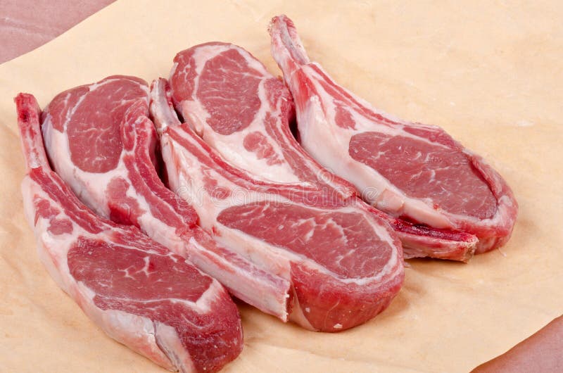 Raw Lamb Chops stock photo. Image of luxury, lamb, frenched - 22175944