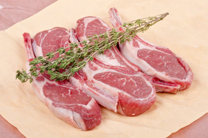 Raw Lamb Chops stock photo. Image of luxury, lamb, frenched - 22175944