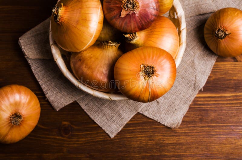 One Large Big Red Onion Looking at You Stock Image - Image of layers ...