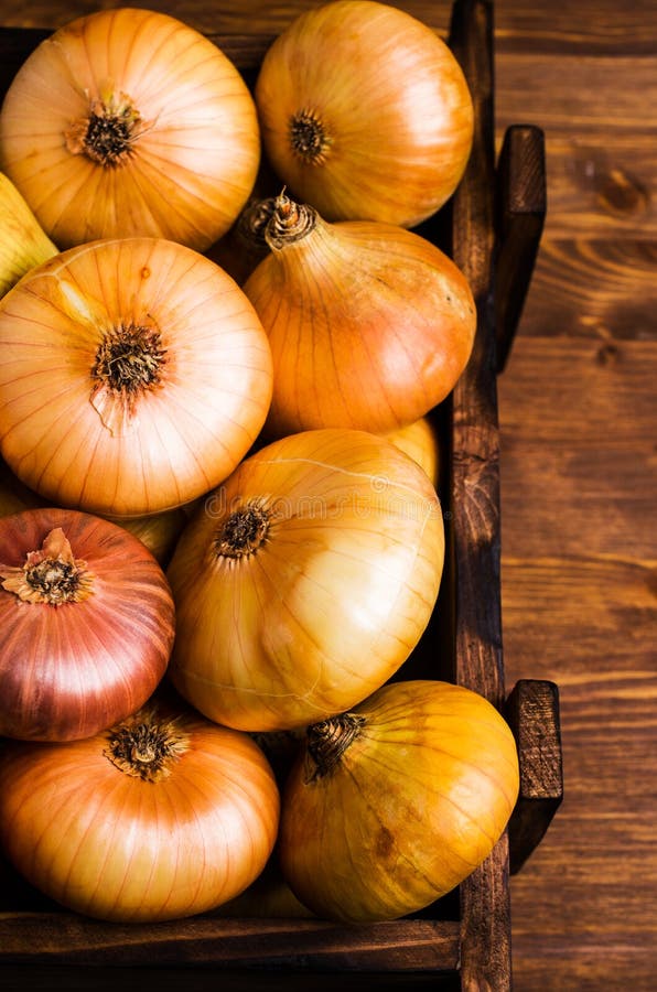 One Large Big Red Onion Looking at You Stock Image - Image of layers ...