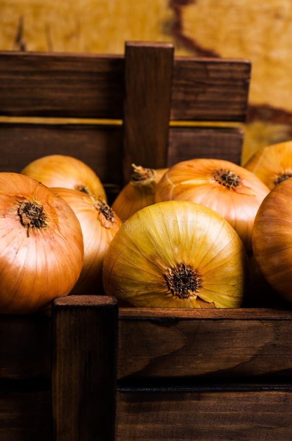 One Large Big Red Onion Looking at You Stock Image - Image of layers ...
