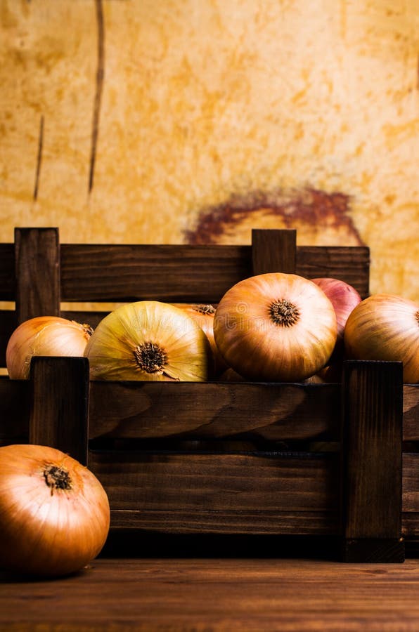 One Large Big Red Onion Looking at You Stock Image - Image of layers ...